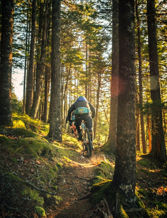 Exploring the Diverse World of Bicycles: A Guide to Different Types of